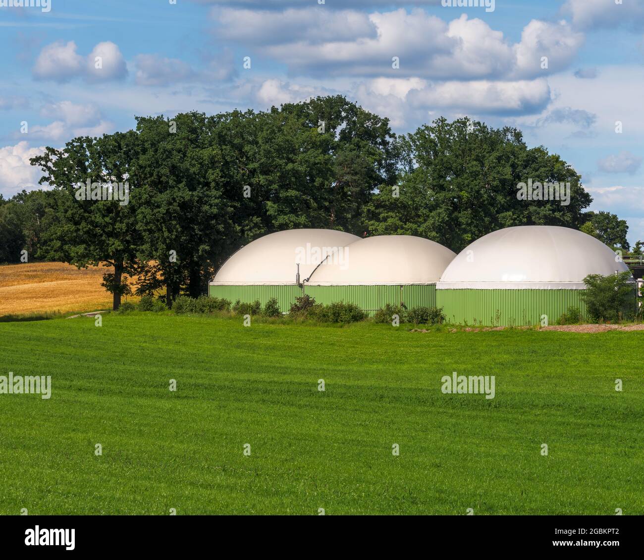 Facility for bio energy production Stock Photo - Alamy