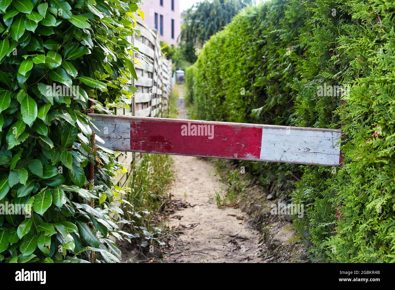 Among short grass hi-res stock photography and images - Alamy