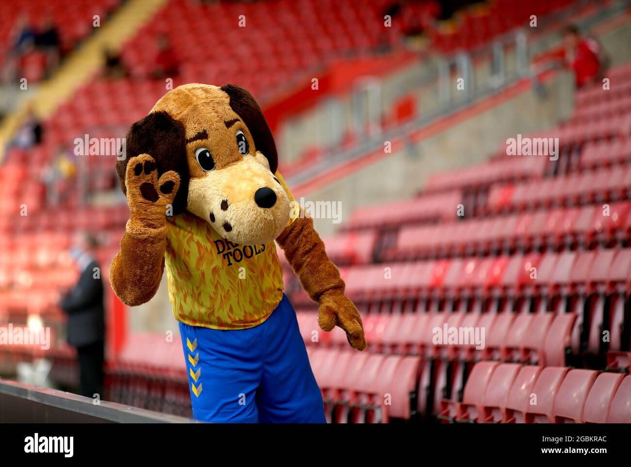 Southampton mascot Sammy Saint in the stands during the Pre-Season ...