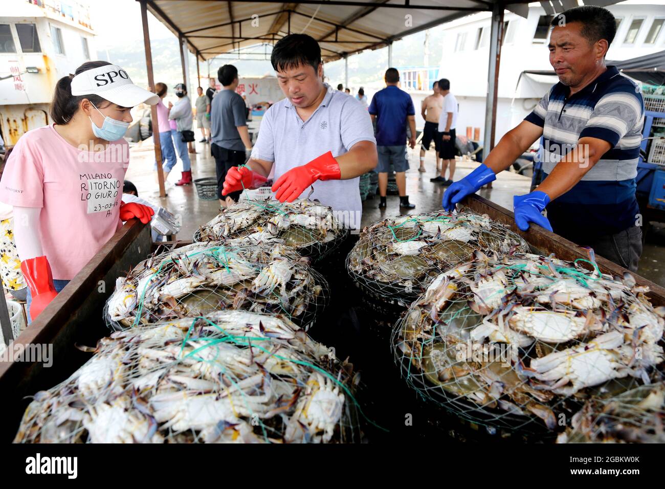 The coastal fishing boats have returned to the fishing port, each full ...