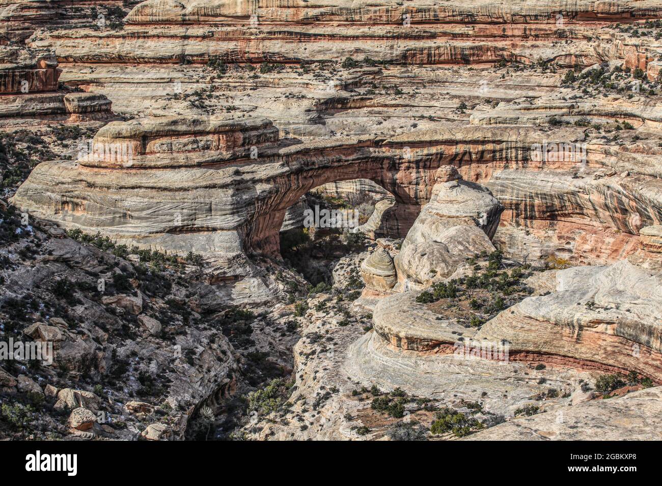 The three magnificent bridges sculpted by water in White Canyon were ...