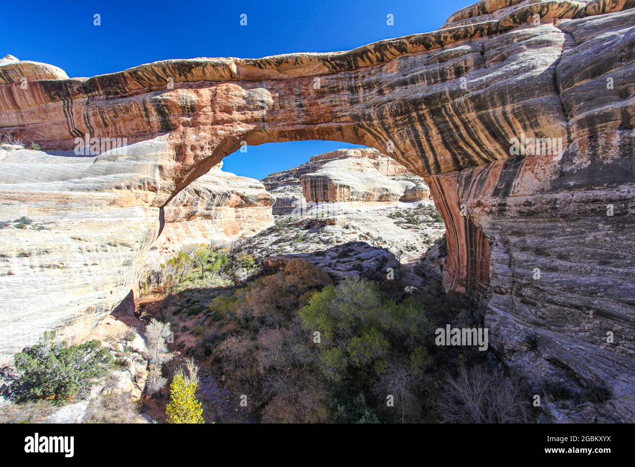 The three magnificent bridges sculpted by water in White Canyon were ...