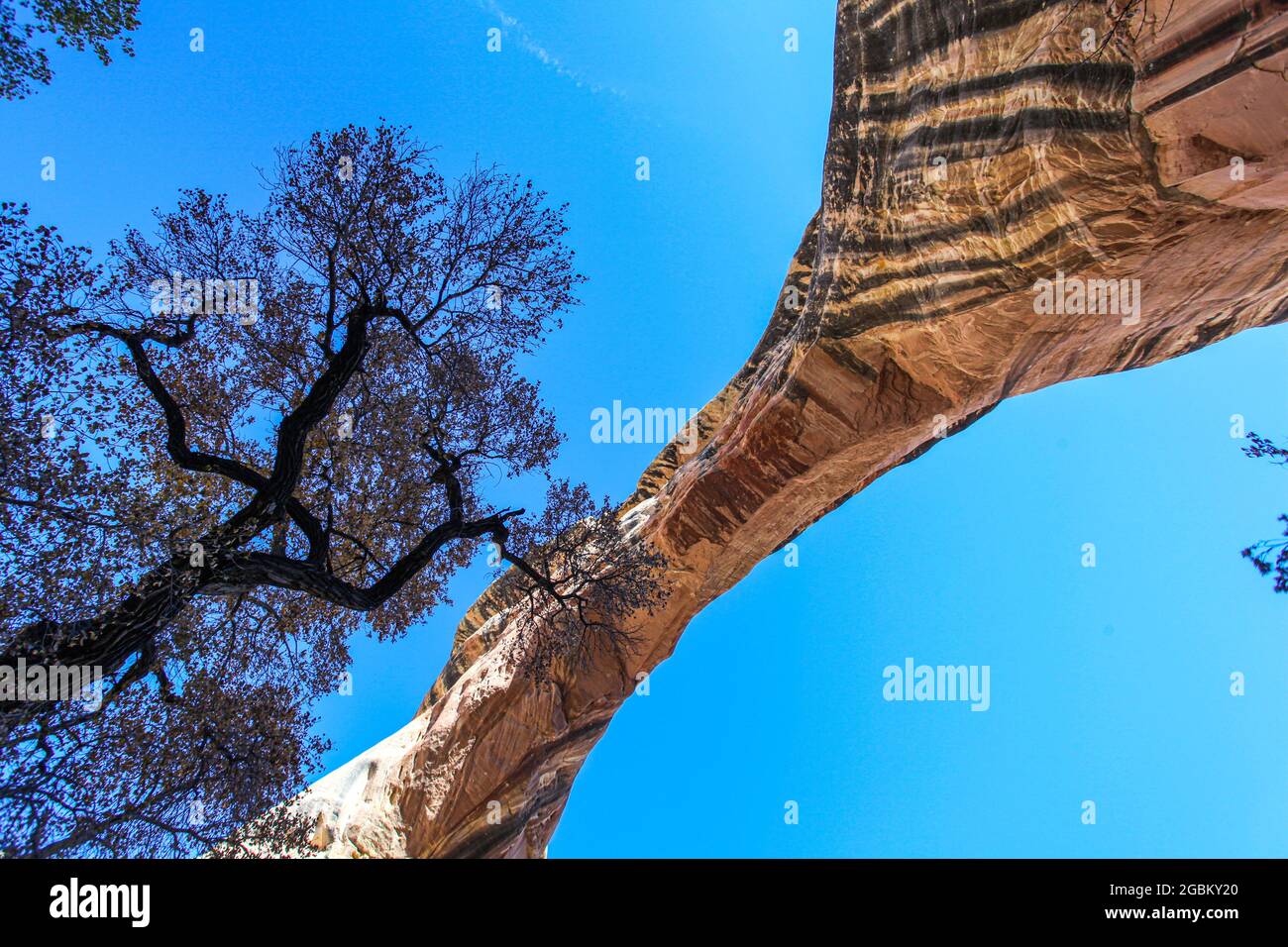 The three magnificent bridges sculpted by water in White Canyon were ...