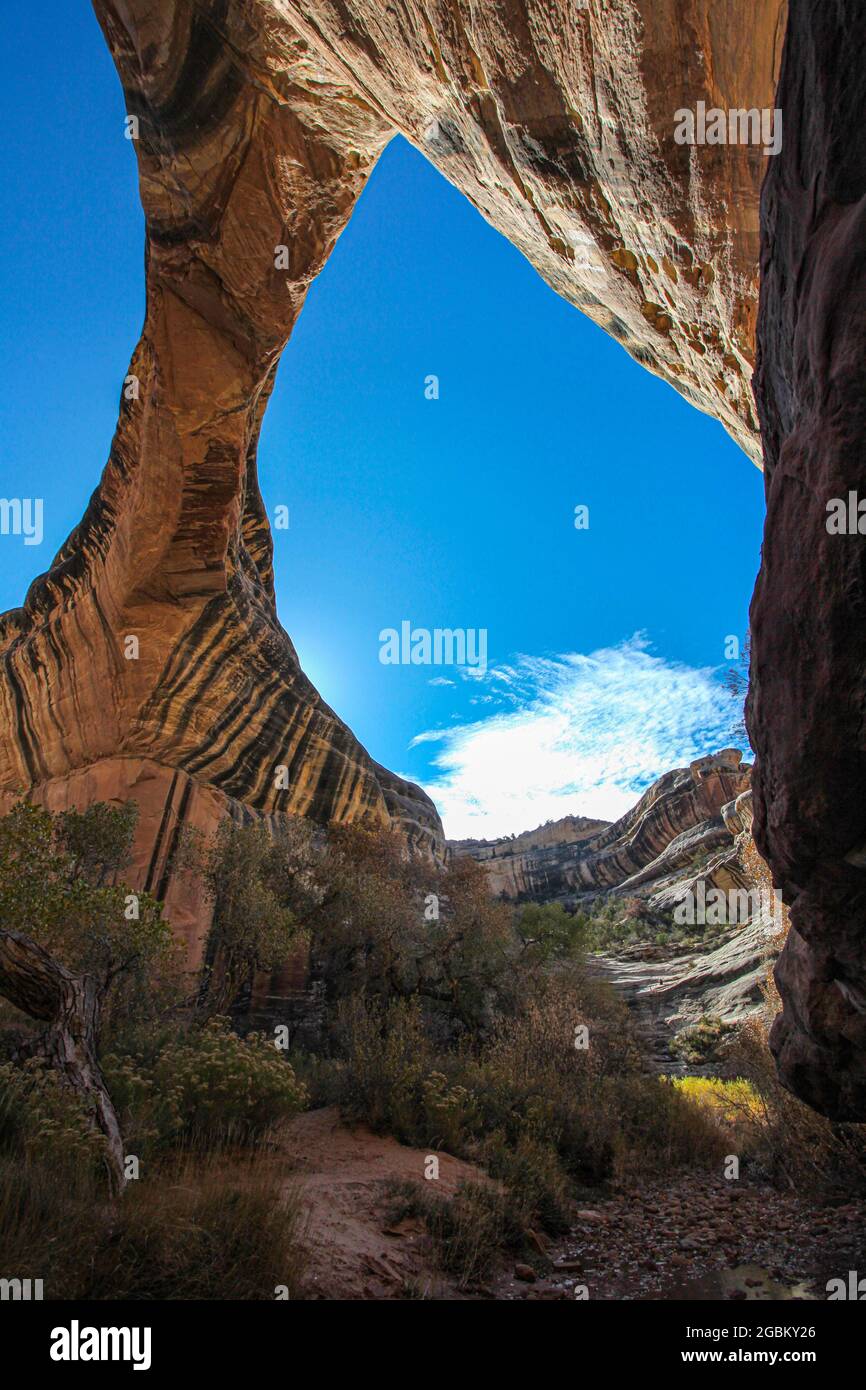The three magnificent bridges sculpted by water in White Canyon were ...