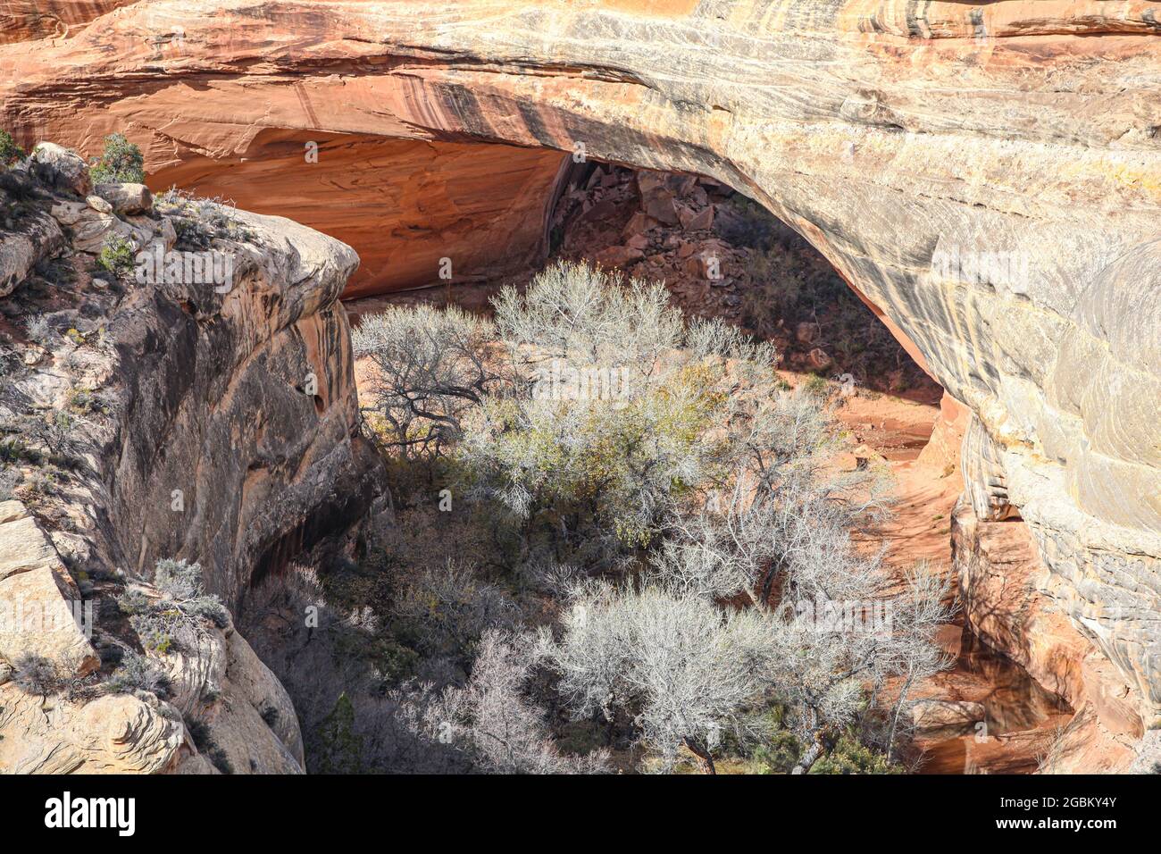 The three magnificent bridges sculpted by water in White Canyon were ...