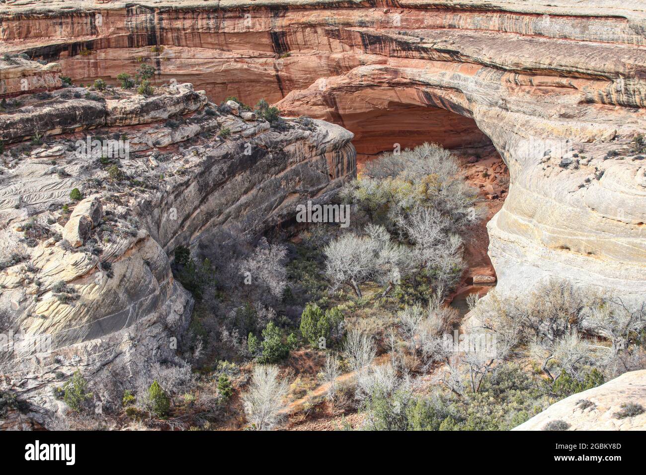 The three magnificent bridges sculpted by water in White Canyon were ...