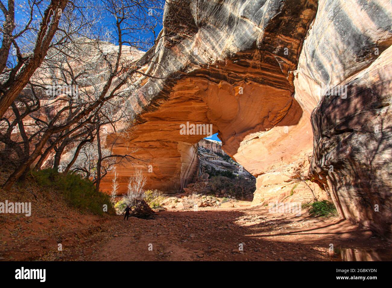 The three magnificent bridges sculpted by water in White Canyon were ...