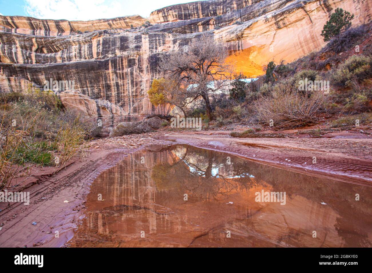 The three magnificent bridges sculpted by water in White Canyon were ...