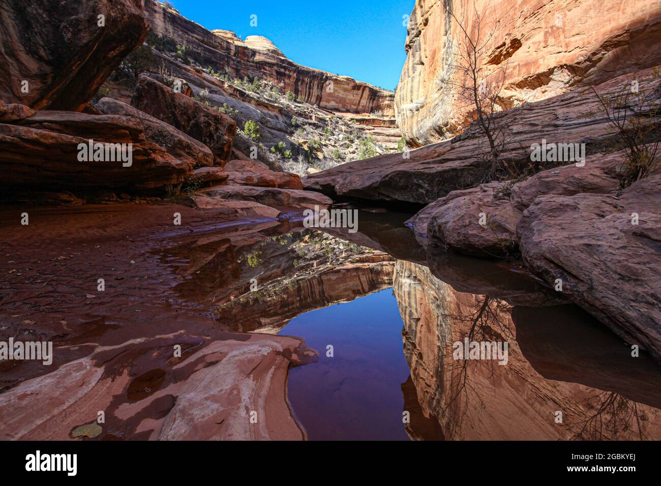 The three magnificent bridges sculpted by water in White Canyon were ...