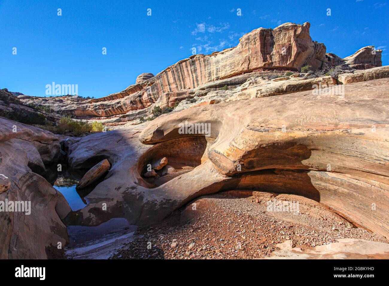 The three magnificent bridges sculpted by water in White Canyon were ...