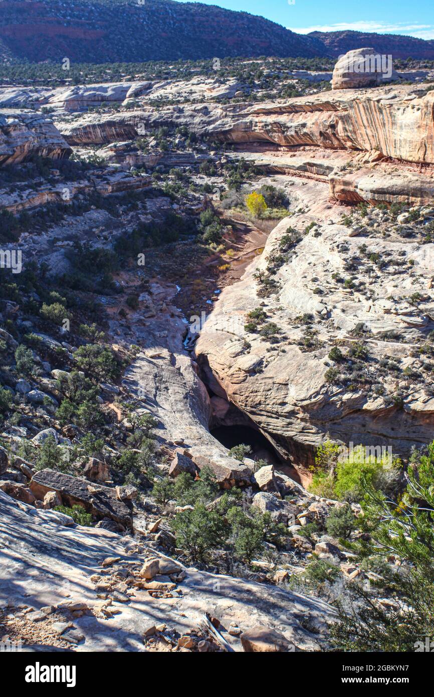 The three magnificent bridges sculpted by water in White Canyon were ...