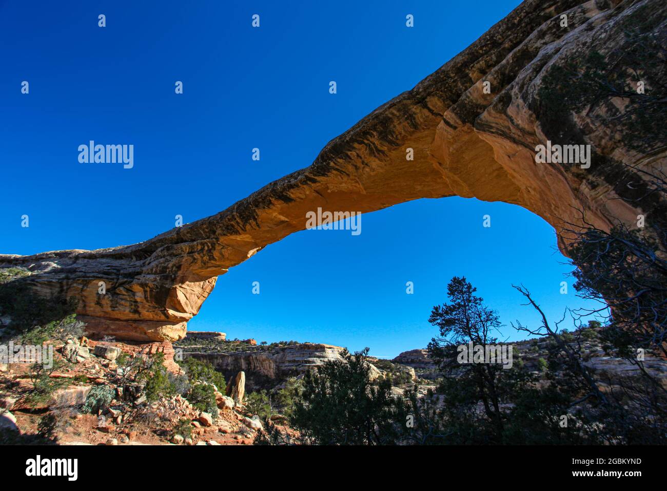 The three magnificent bridges sculpted by water in White Canyon were ...