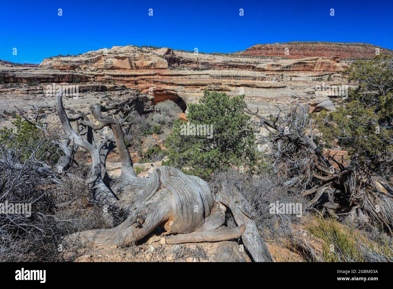 The three magnificent bridges sculpted by water in White Canyon were ...