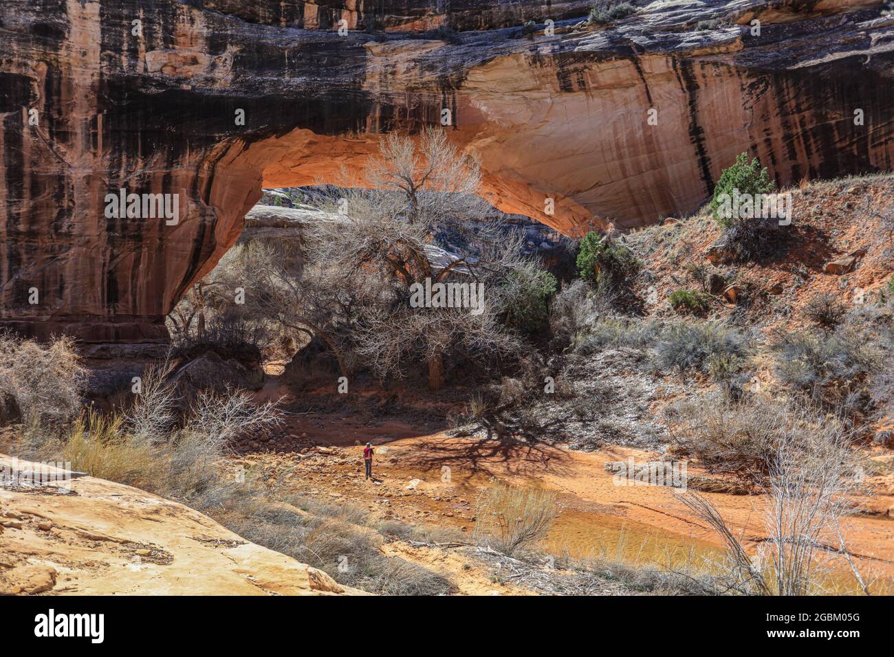 The three magnificent bridges sculpted by water in White Canyon were ...