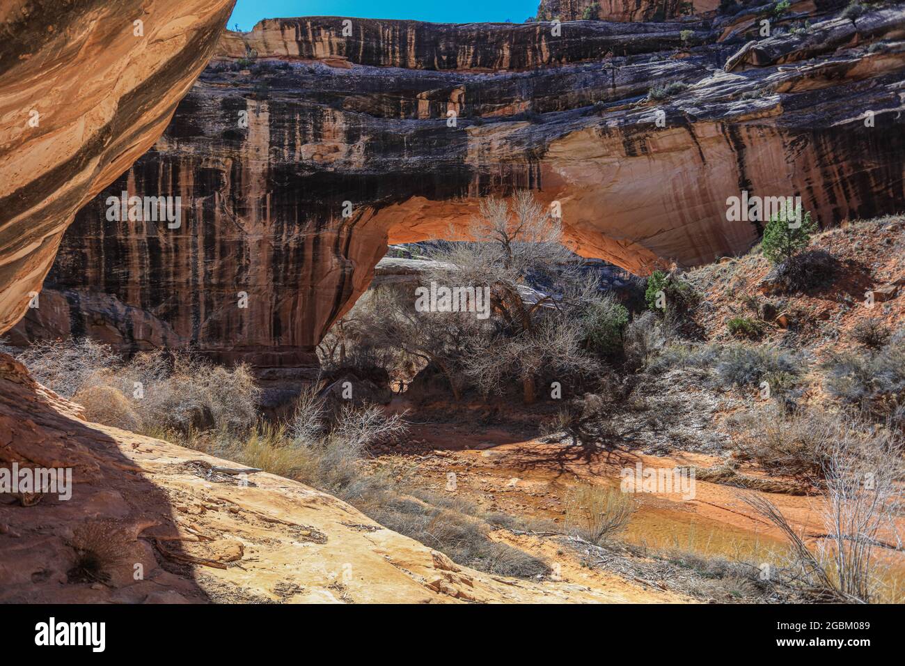 The three magnificent bridges sculpted by water in White Canyon were ...