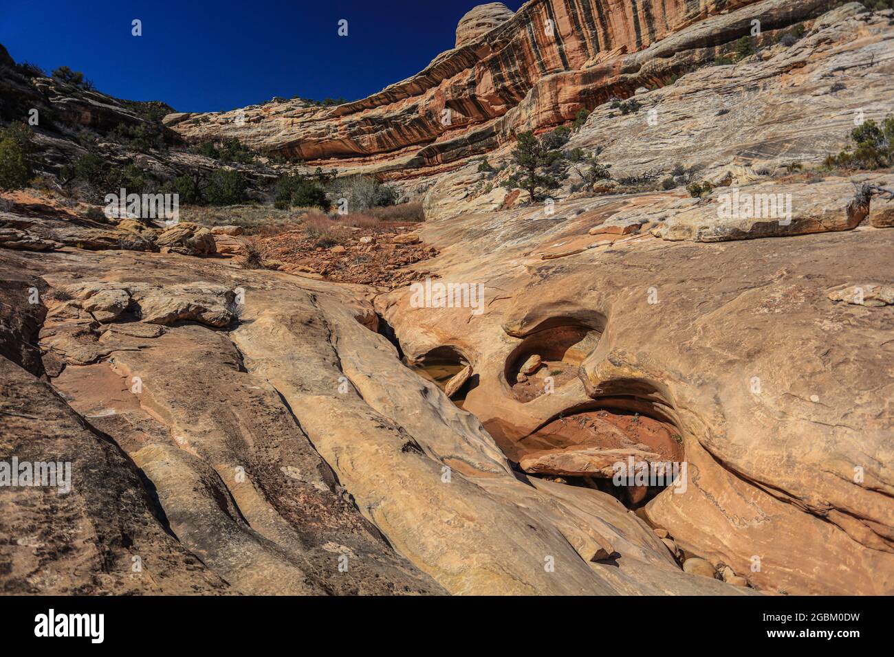 The three magnificent bridges sculpted by water in White Canyon were ...
