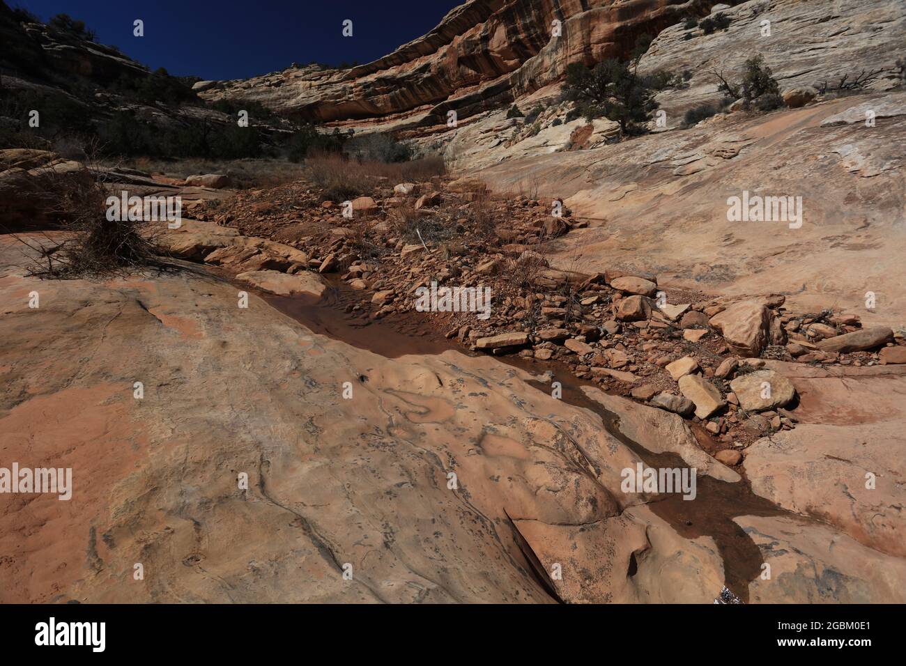 The three magnificent bridges sculpted by water in White Canyon were ...
