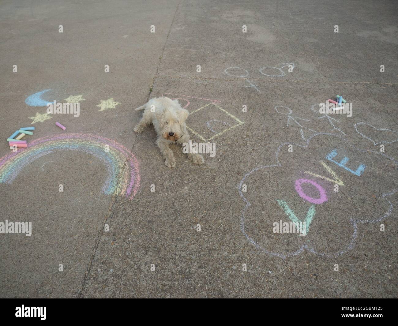 Dog sited in a pavement with many drawings Stock Photo - Alamy