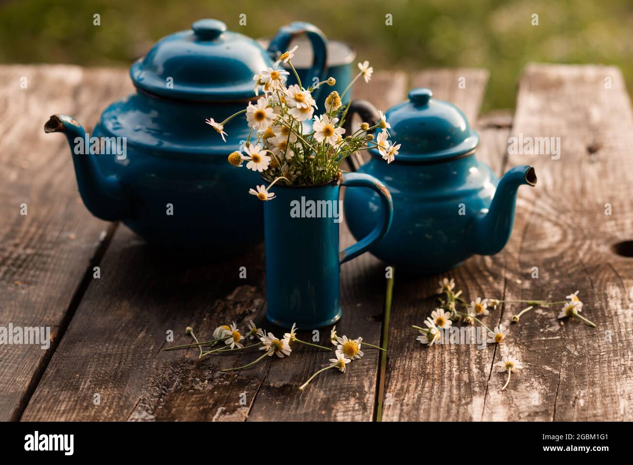 Phyto tea hi-res stock photography and images - Alamy