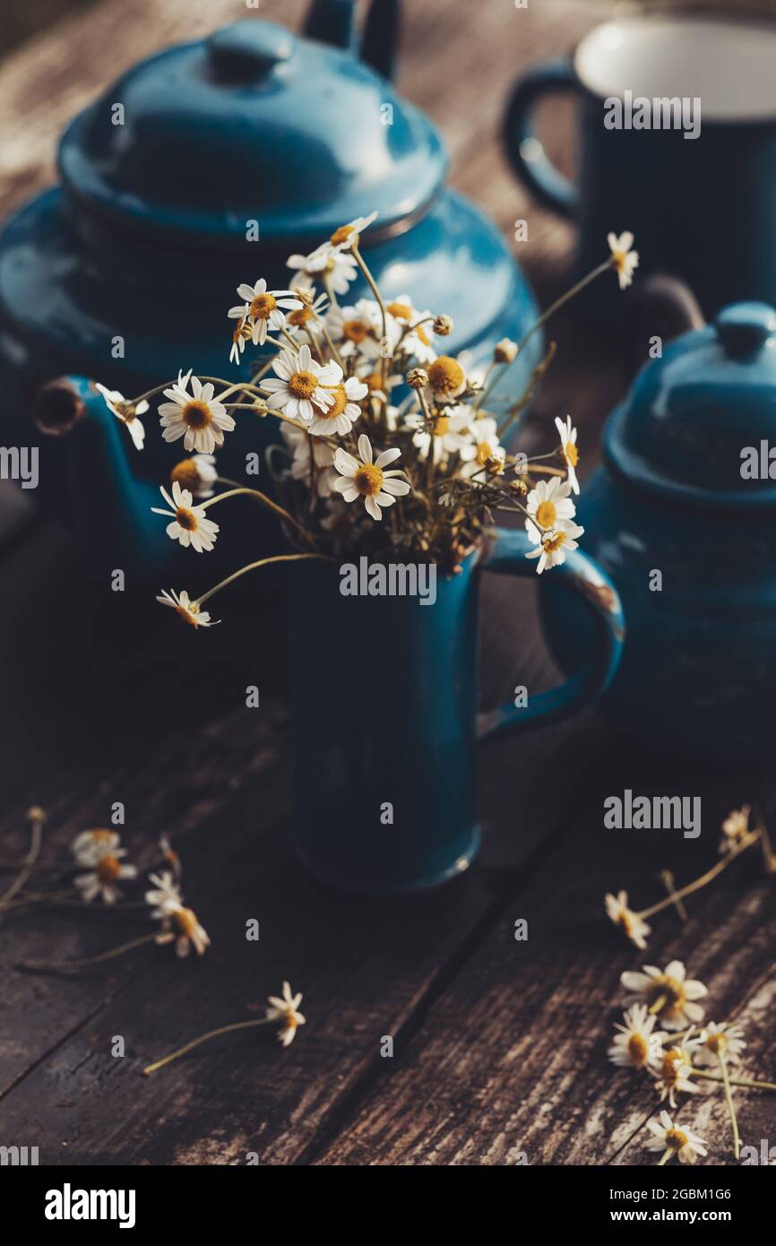 Phyto chamomile tea with vintage tea set Stock Photo - Alamy