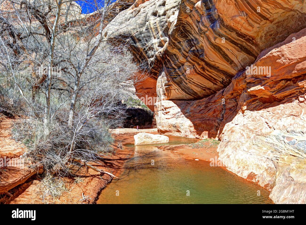 The three magnificent bridges sculpted by water in White Canyon were ...
