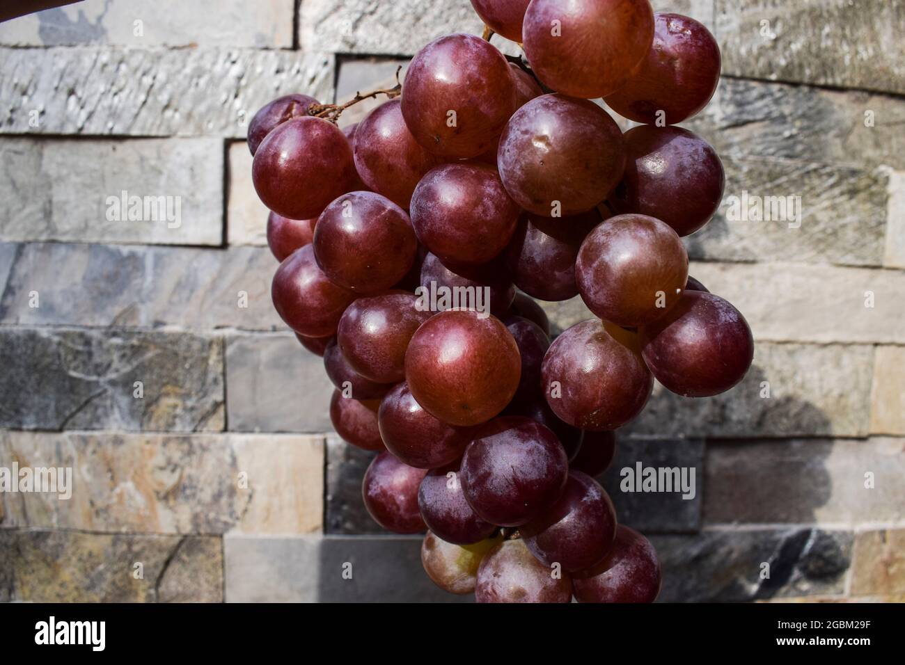 Giant sized fruits and vegetables hi-res stock photography and images ...