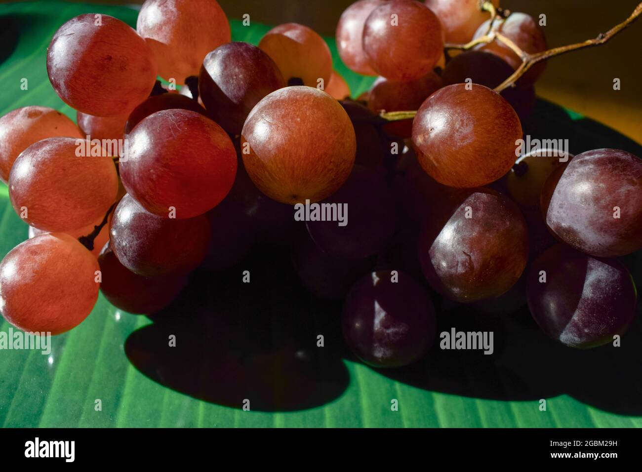 Beautiful bunch of Red brownish type of Big sized sweet grapes with ...
