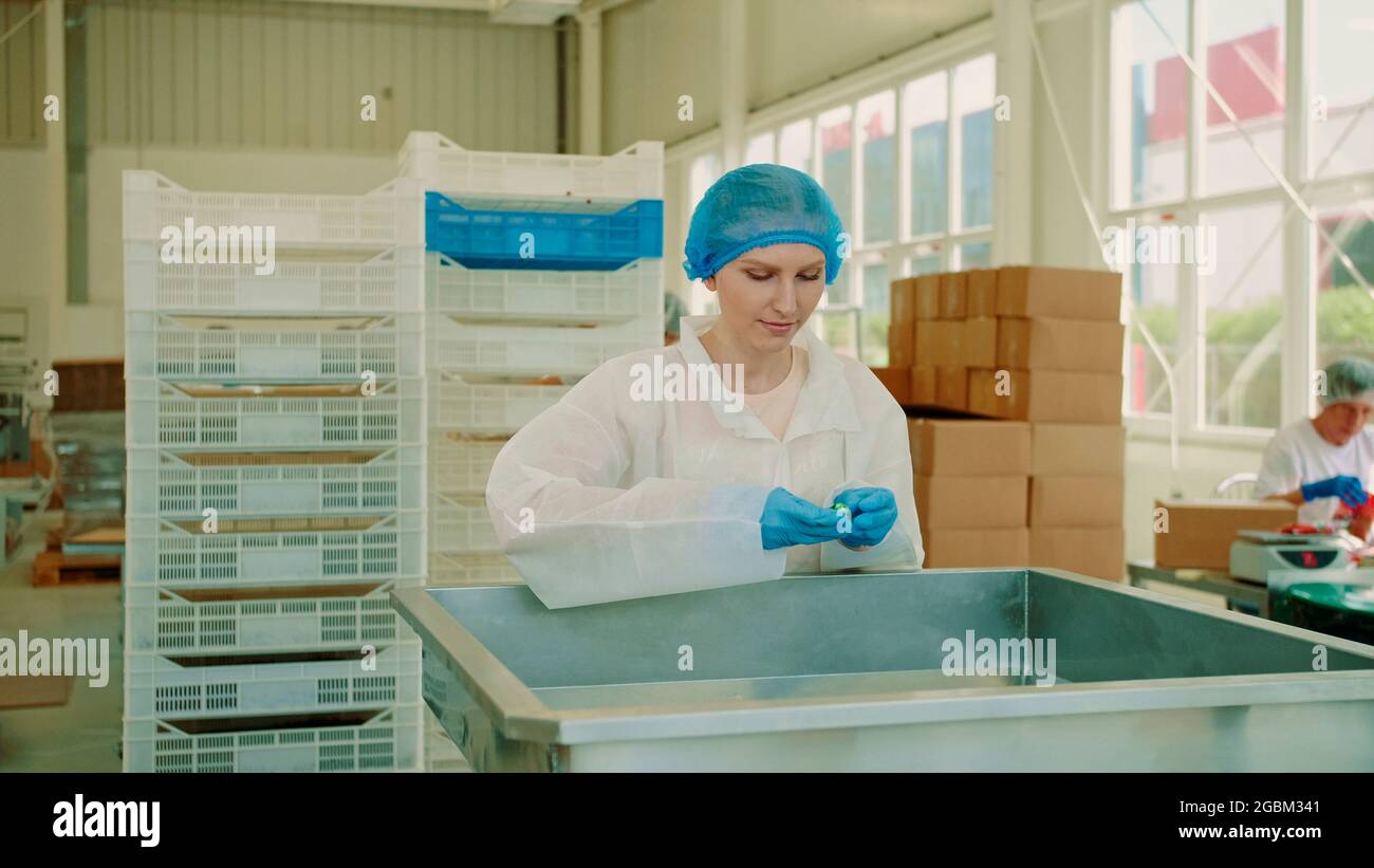 Candy factory. Factory worker checking packing machine. Young woman in ...