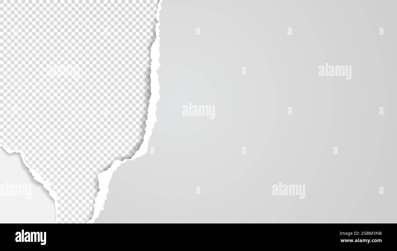 Torn, ripped squared and grey paper strips with soft shadow are on ...