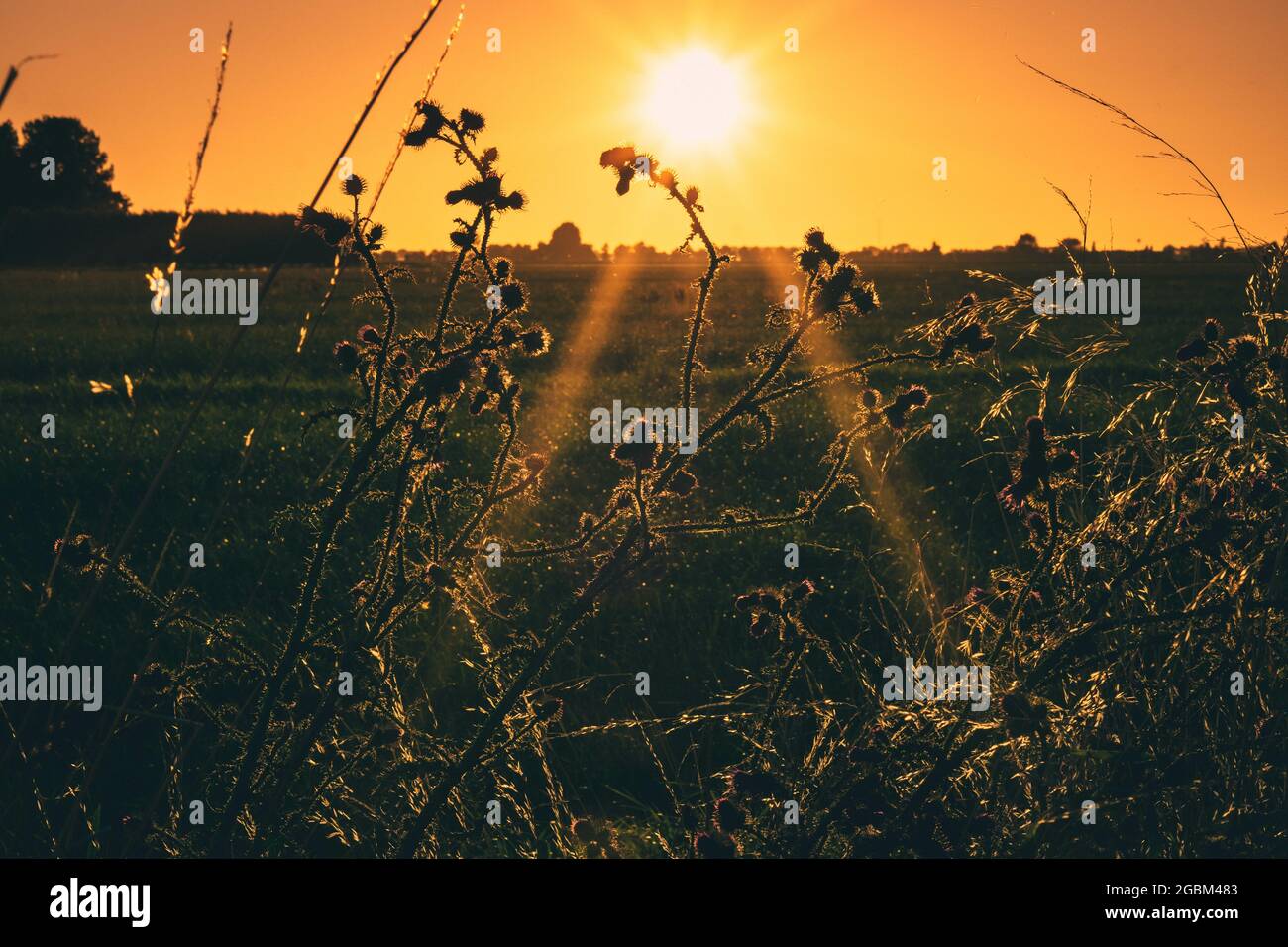 Sunset over the field - perfect for background or wallpaper Stock Photo ...
