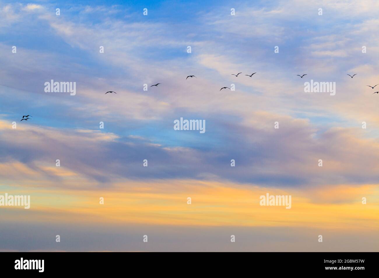 Beautiful view of the sky with the beautiful clouds birds flying in it ...