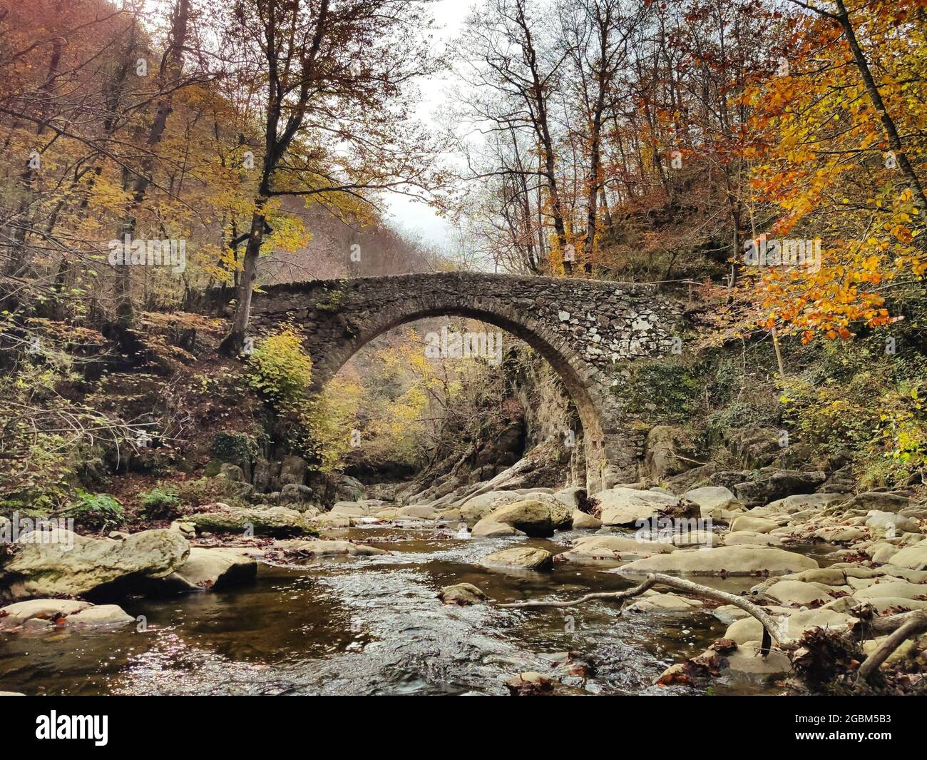 Old arch stone bridge over a river in the woods Stock Photo - Alamy