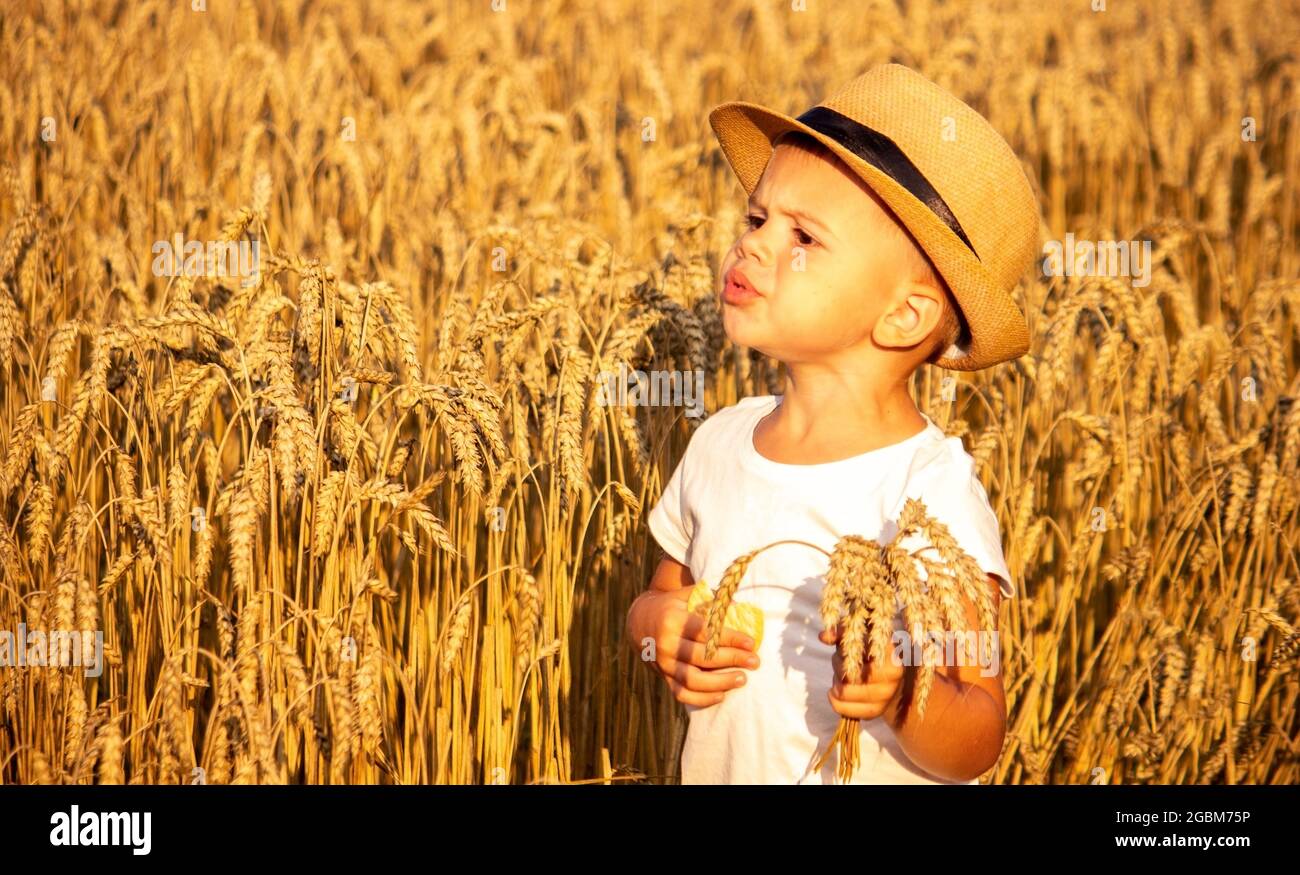 Little blonde girl in wheat High Resolution Stock Photography and ...