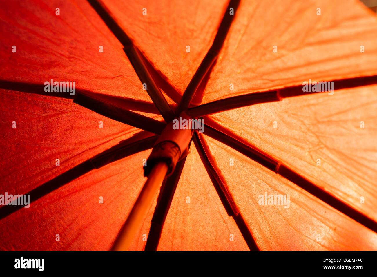 Umbrella from inside with light going through it Stock Photo - Alamy