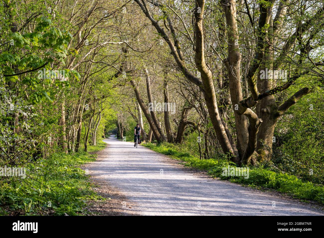 Strawberry line somerset hi-res stock photography and images - Alamy