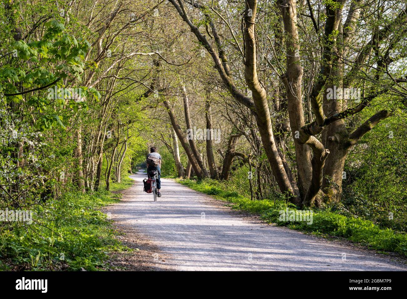 Strawberry line trail hi-res stock photography and images - Alamy