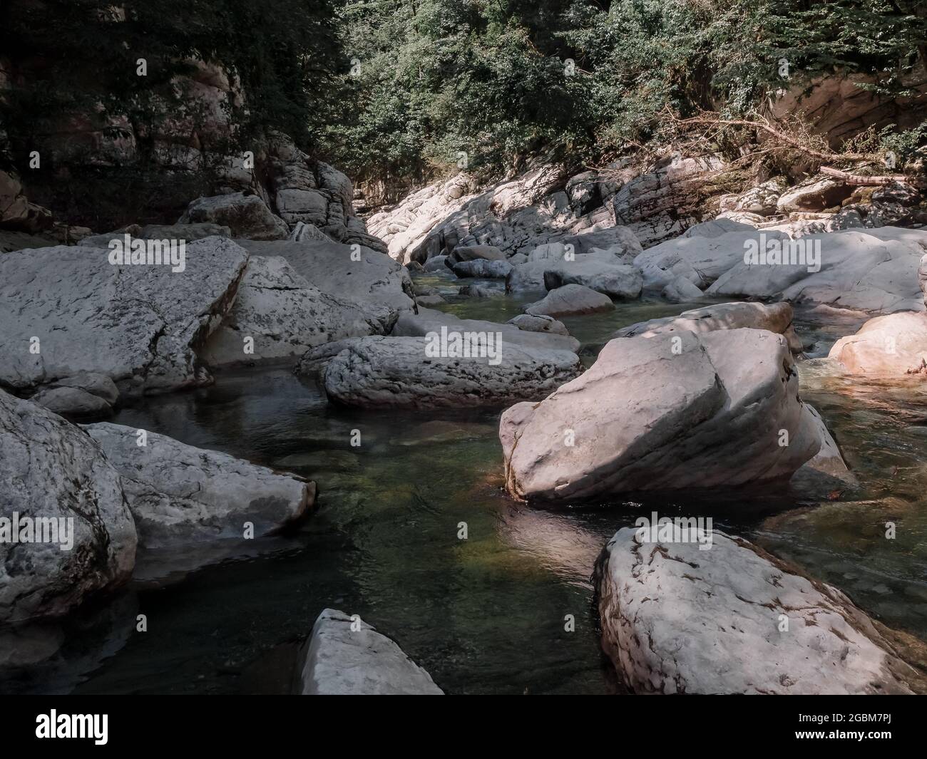 Large smooth stones in mountain river flowing among rocks and trees ...