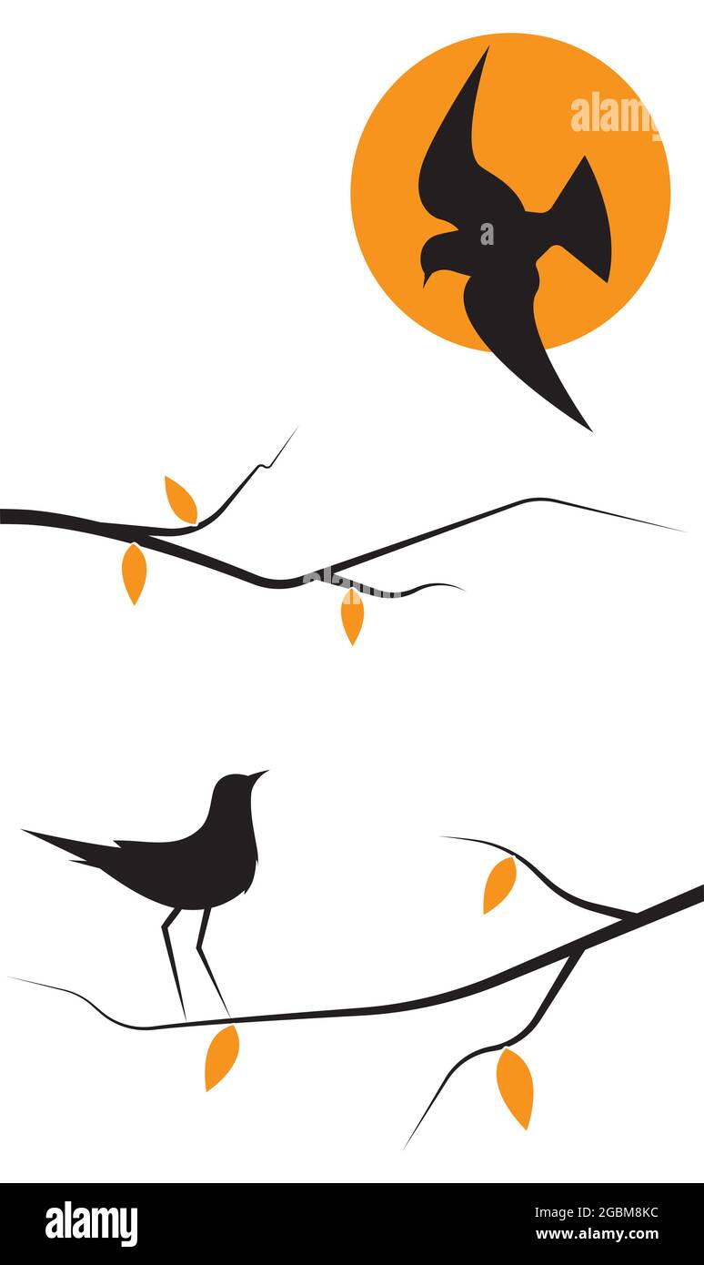 Flying bird silhouettes and birds on a tree illustration and sunset ...
