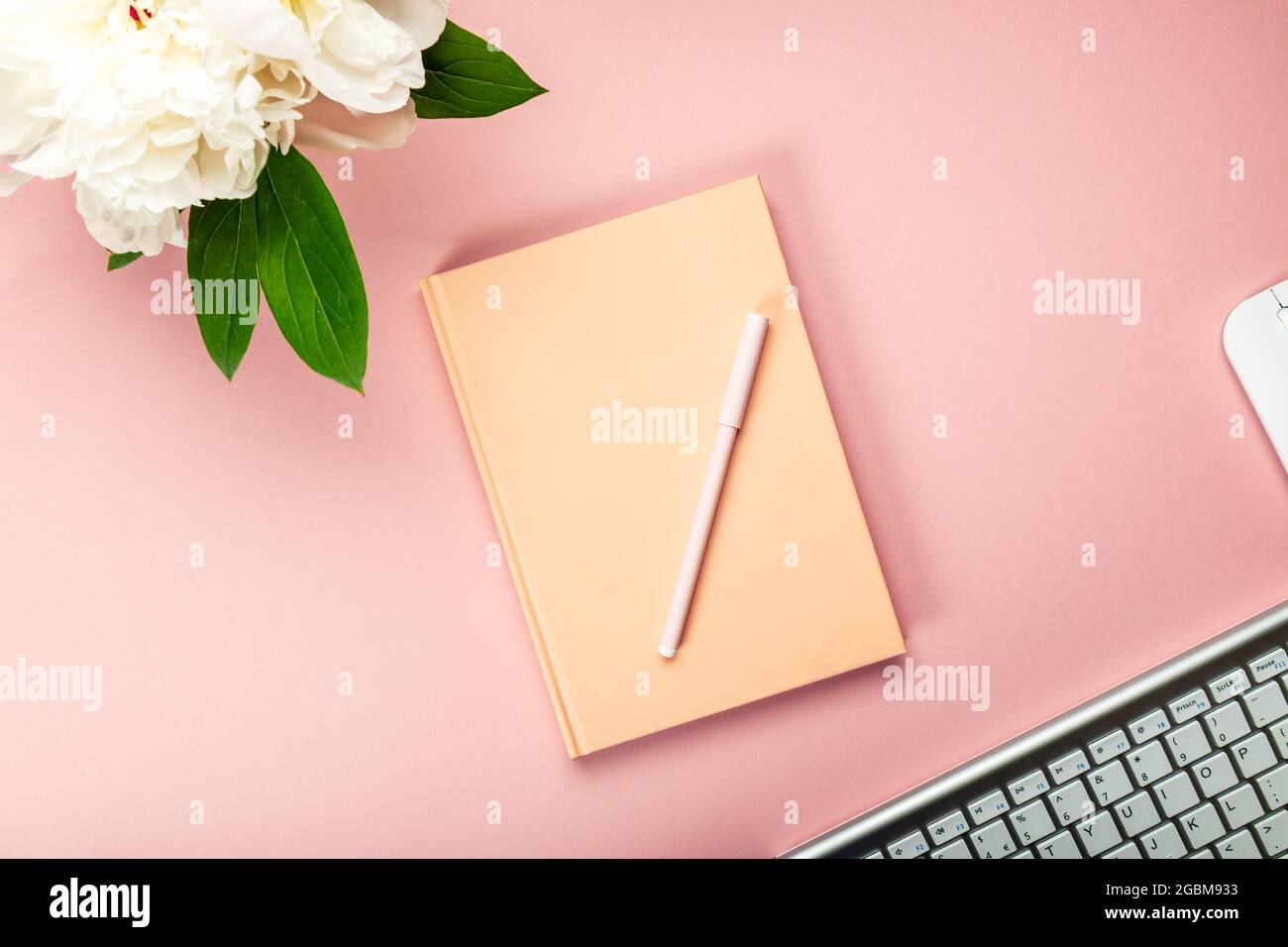 Empty Notebook for writing Dreams and Ideas, with different Stat Stock ...