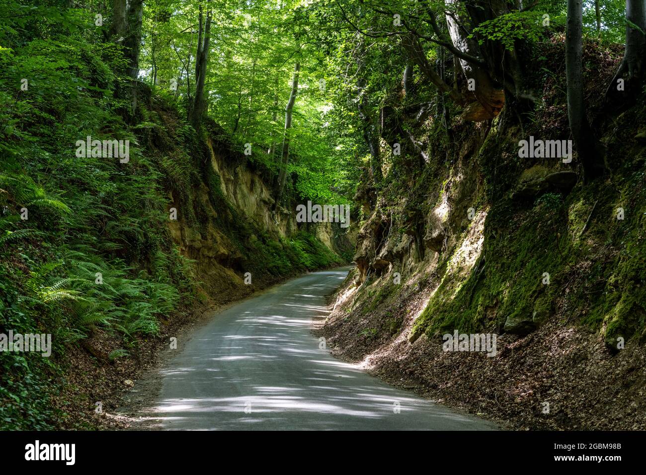 Holloway path uk hi-res stock photography and images - Alamy