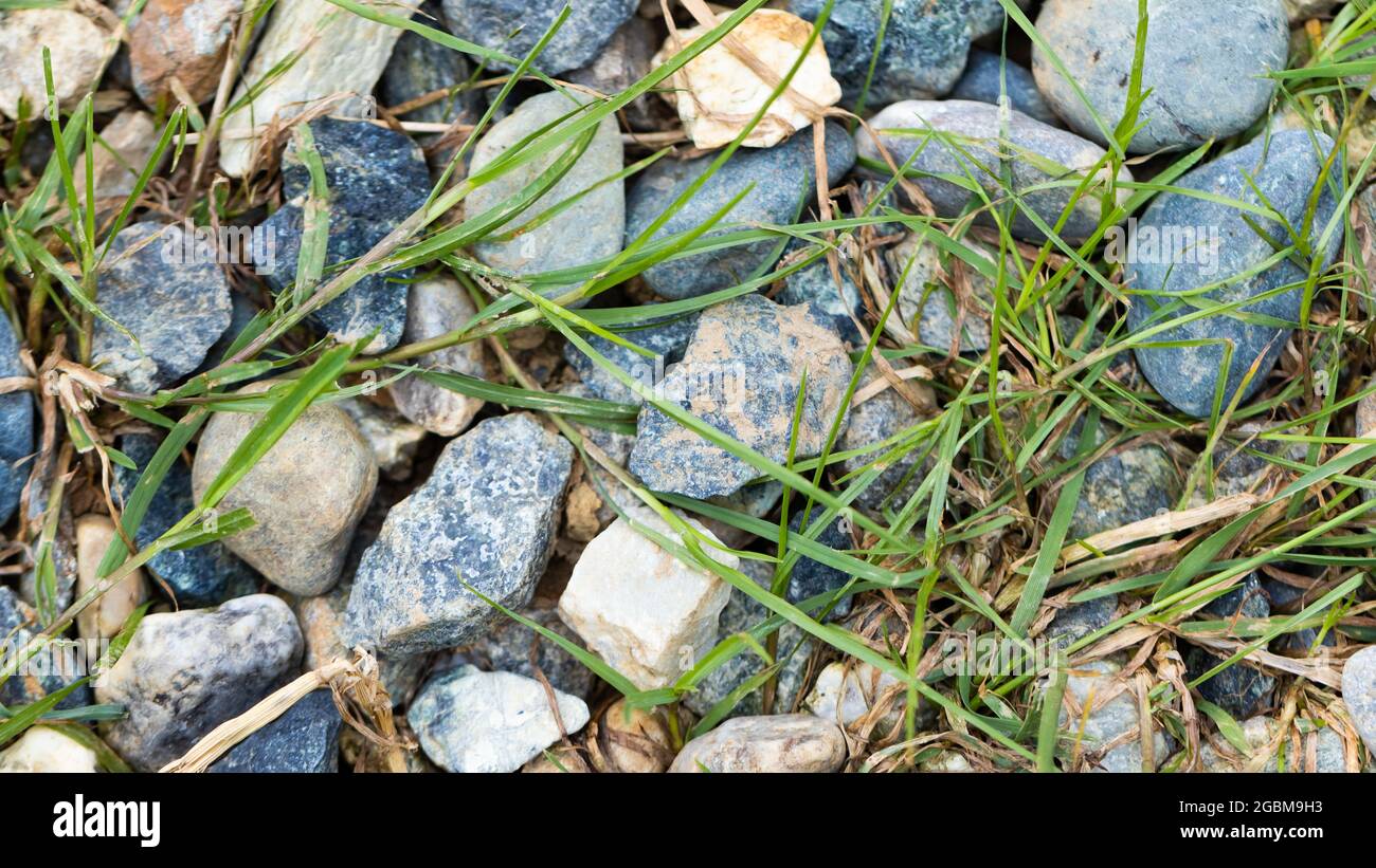 stones and blades of grass scattered on the ground Stock Photo - Alamy