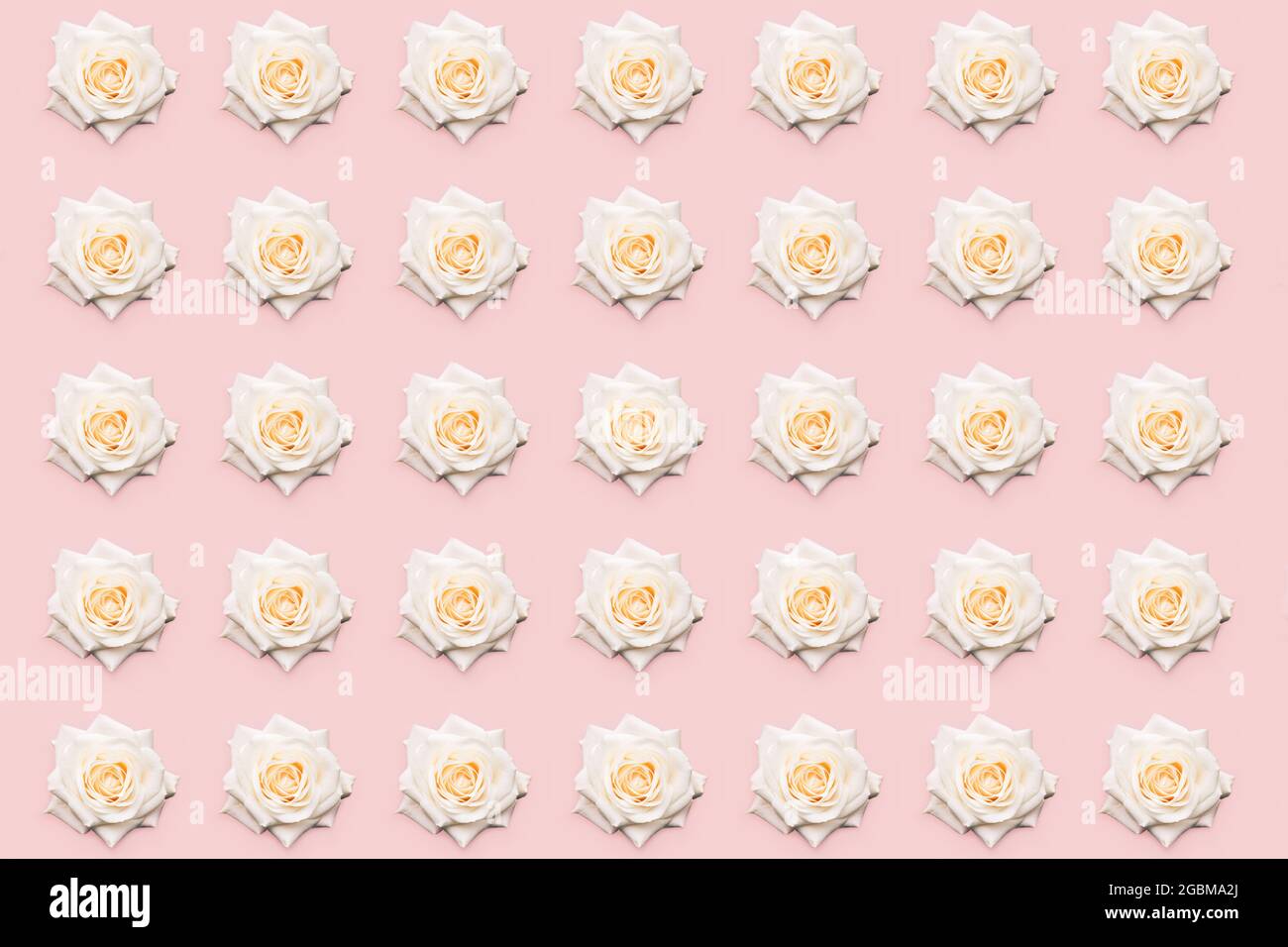 Floral white rose pattern Stock Photo - Alamy