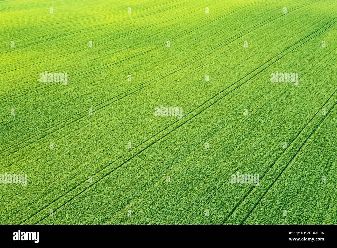 Meadow aerial view hi-res stock photography and images - Alamy