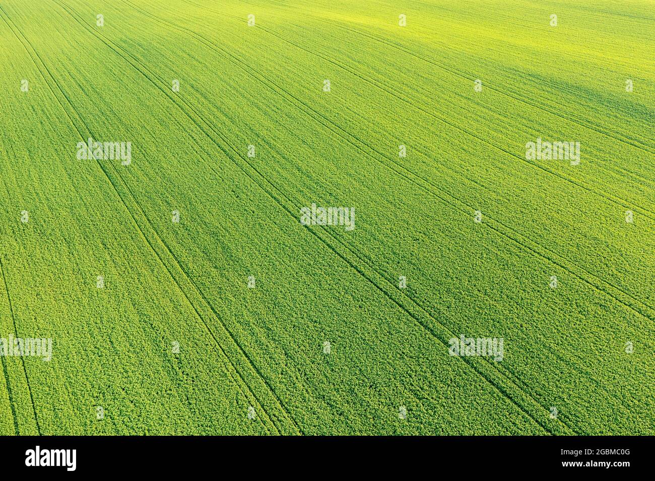 Birds eye view green field hi-res stock photography and images - Alamy