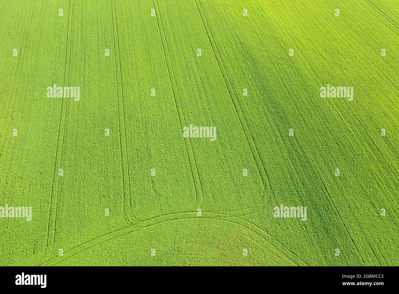 Aerial view of green field Stock Photo - Alamy