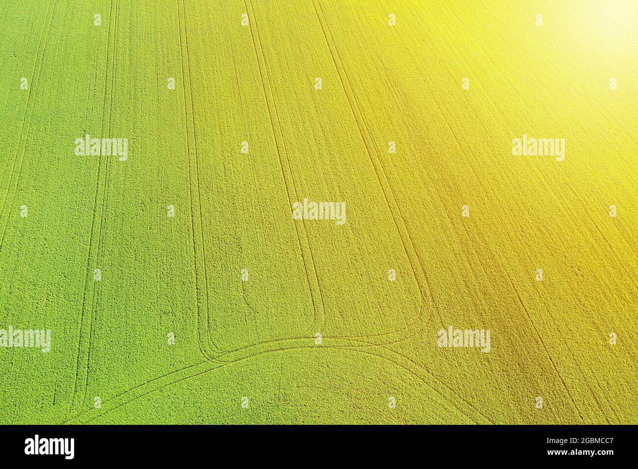 Grass field birds eye view hi-res stock photography and images - Alamy