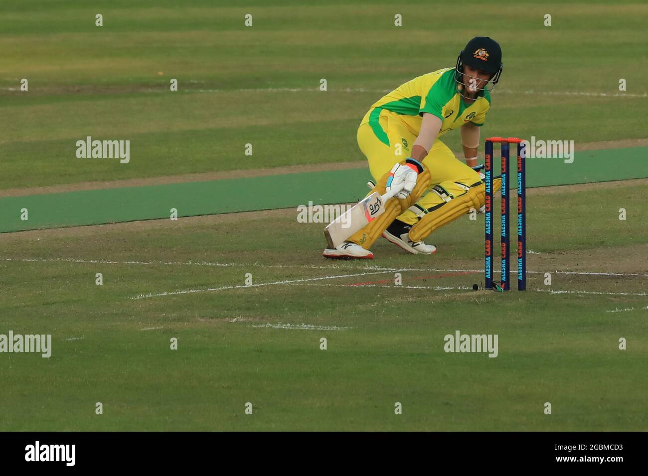Cricket player josh philippe hi-res stock photography and images - Alamy