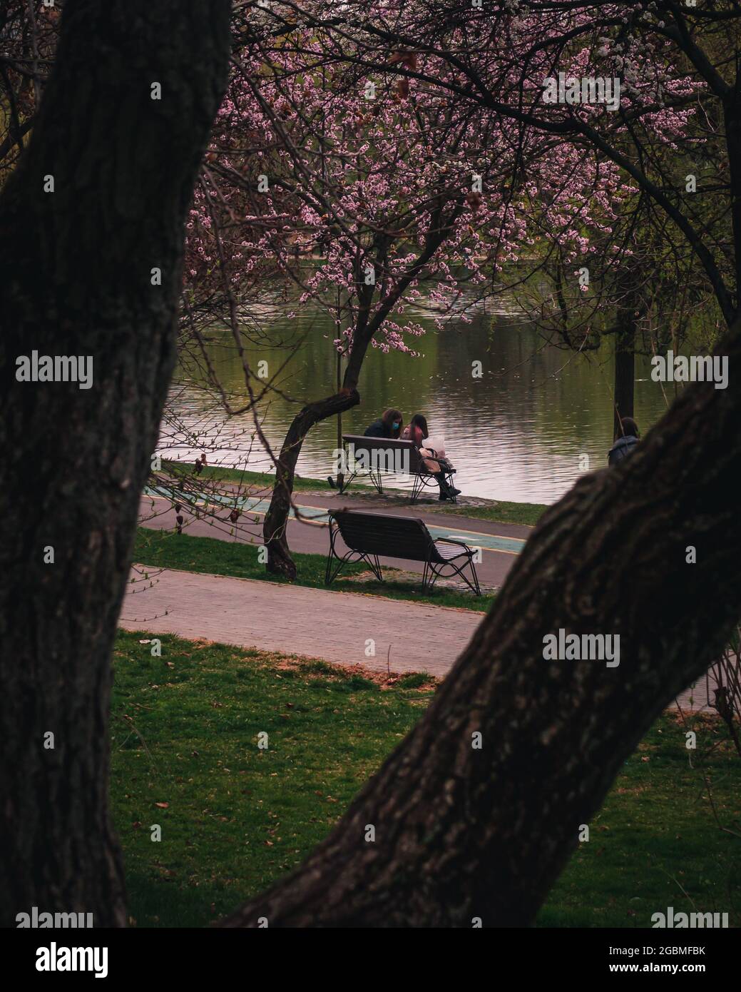 Friends sitting on the bench on the riverside in the park captured ...