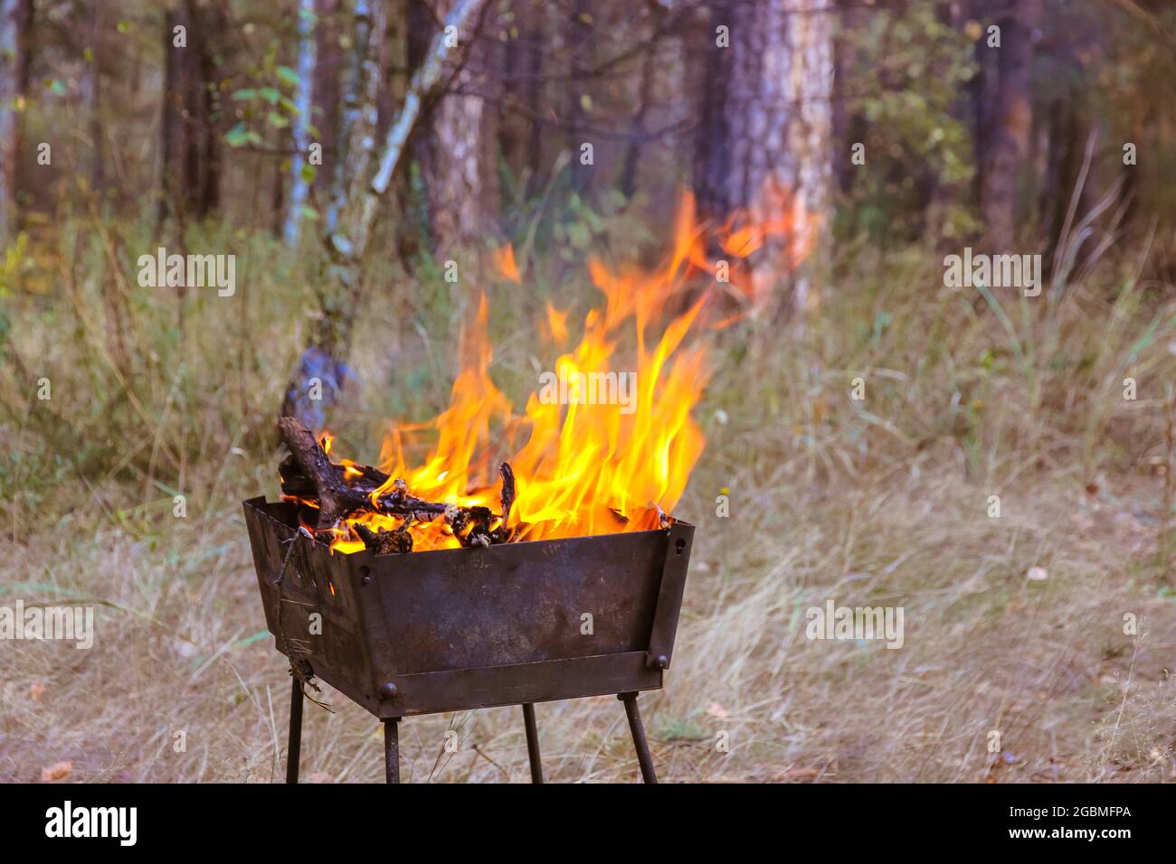 Brazier forest autumn hi-res stock photography and images - Alamy