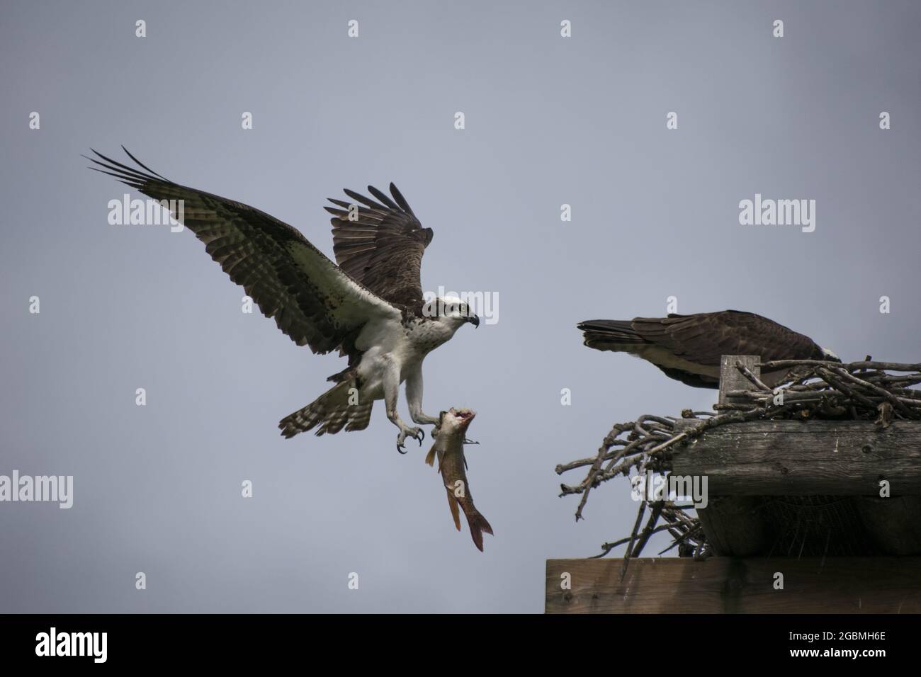 Eye catching landscapes hi-res stock photography and images - Alamy